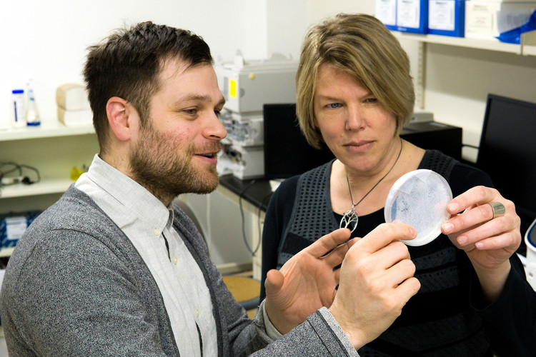 Publications – Microbiology & Climate Change