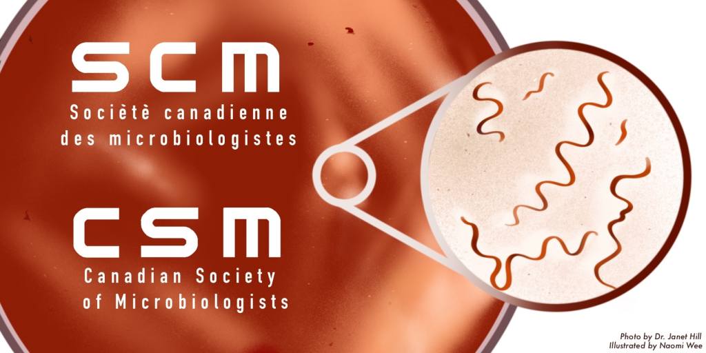 Conferences – Microbiology & Climate Change